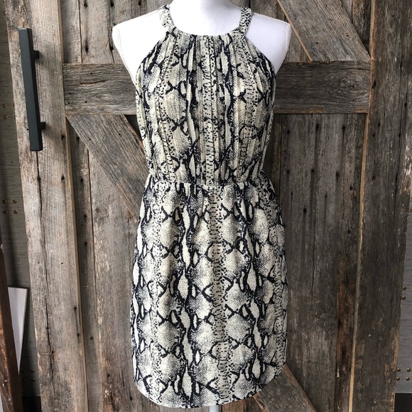 Dresses | Snakeskin Dress | Poshmark